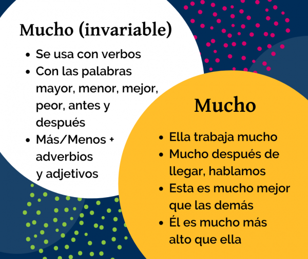Muy y mucho en español - Explicación - Novalingua